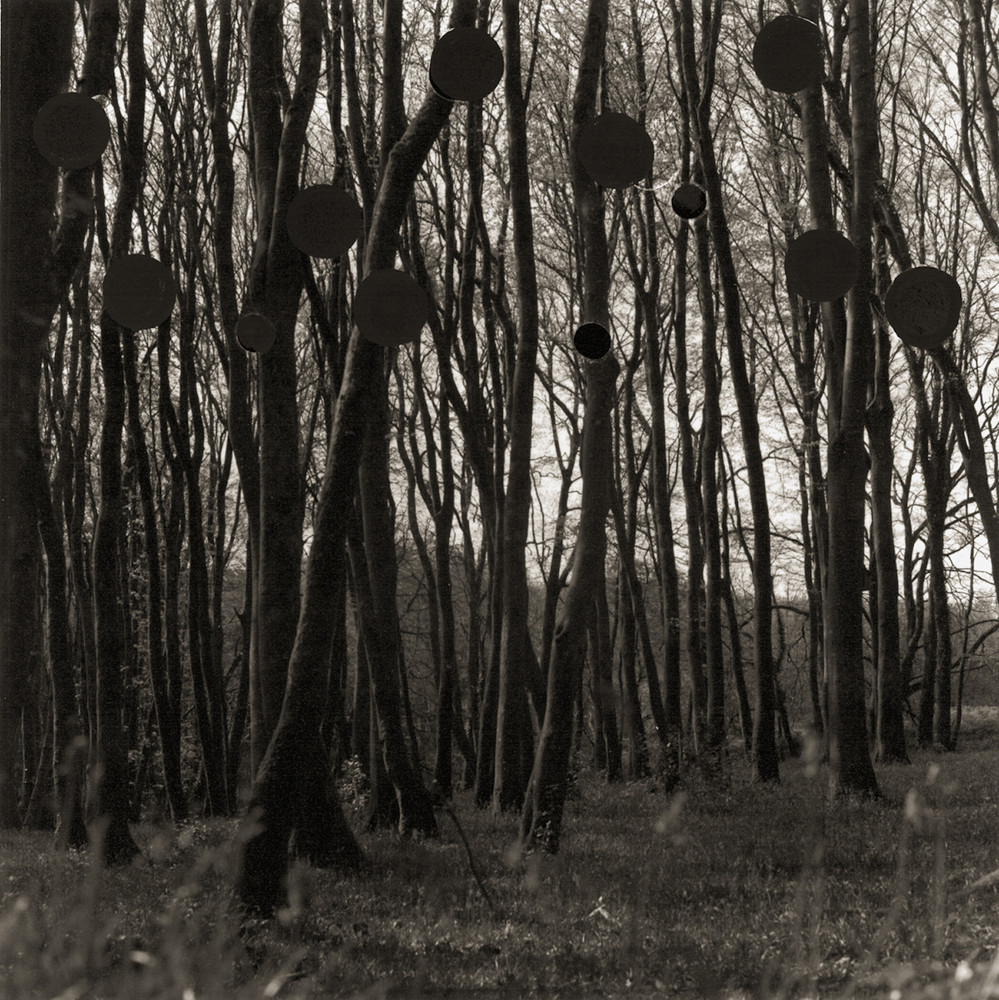 marella oppenheim - DISAPPEARANCE | LensCulture