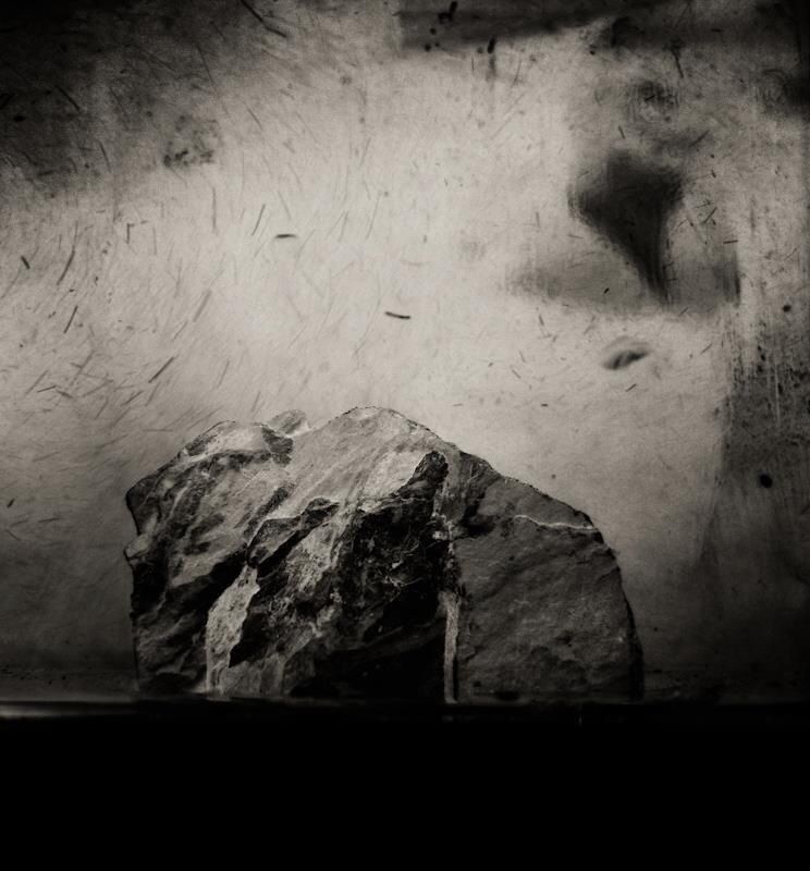 Michael Jackson - A Child's Landscape | LensCulture