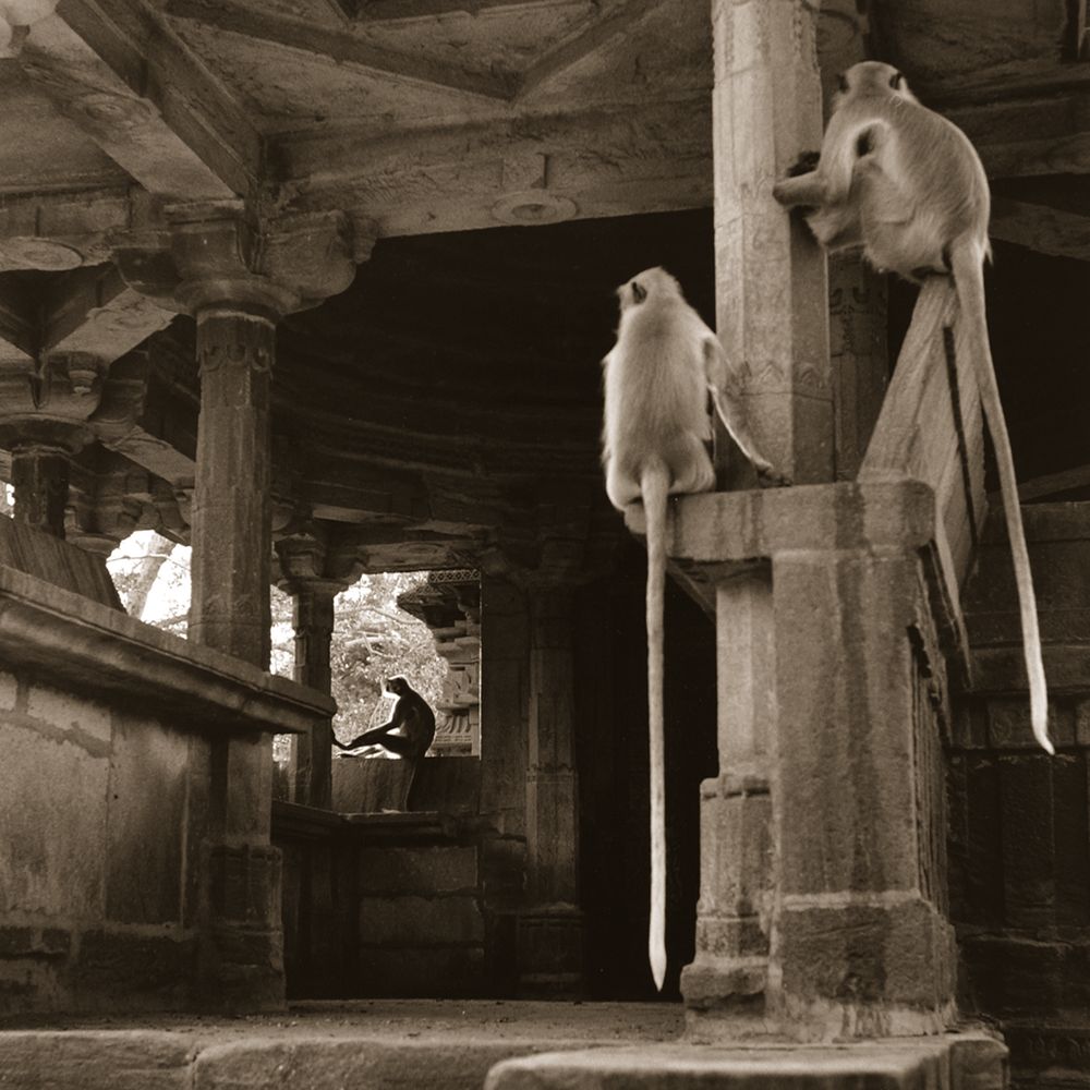 Steven Brock - Ancient Presence | LensCulture