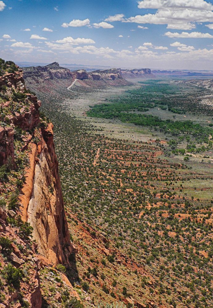 Joshua Sharf - Untitled | LensCulture