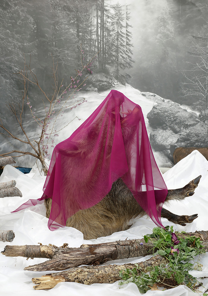 Sandra Stark - Photography is the Theatre of My Life | LensCulture