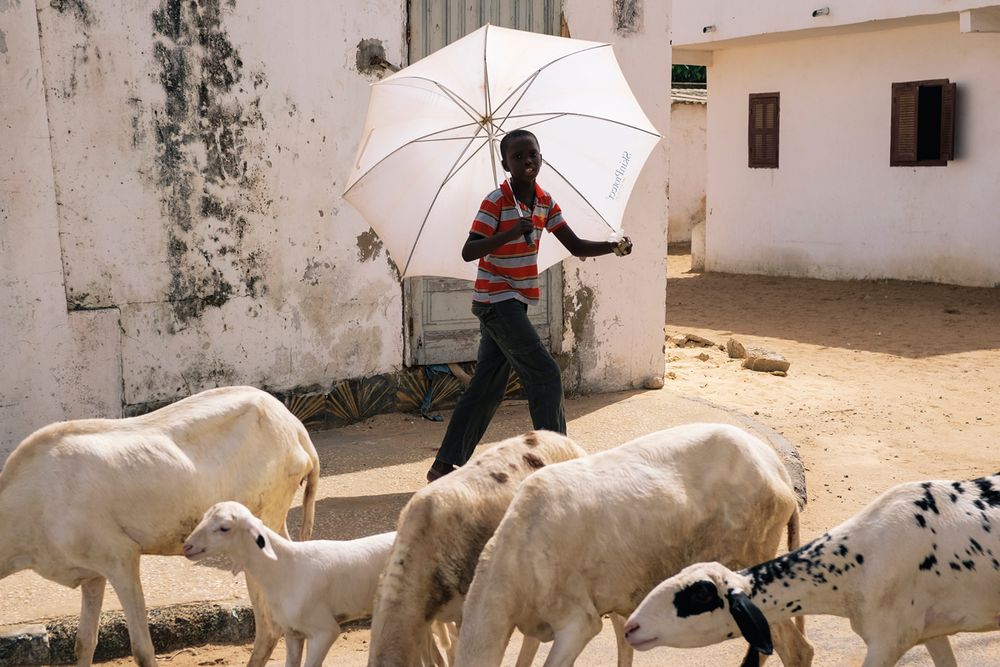 Adrian Morris - Scenes from Dakar | LensCulture