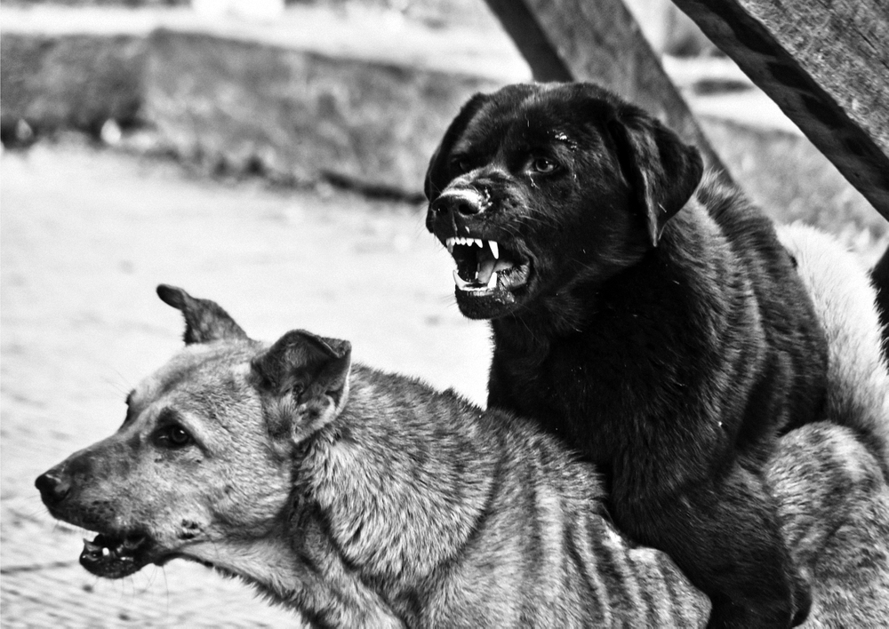 Martin Kesting - The Wheel, 2016-2020 | LensCulture