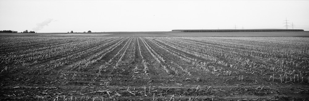 broad land - LensCulture