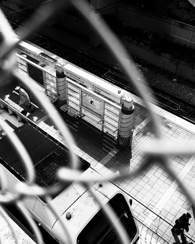 Phillip Hamilton - Untitled | LensCulture