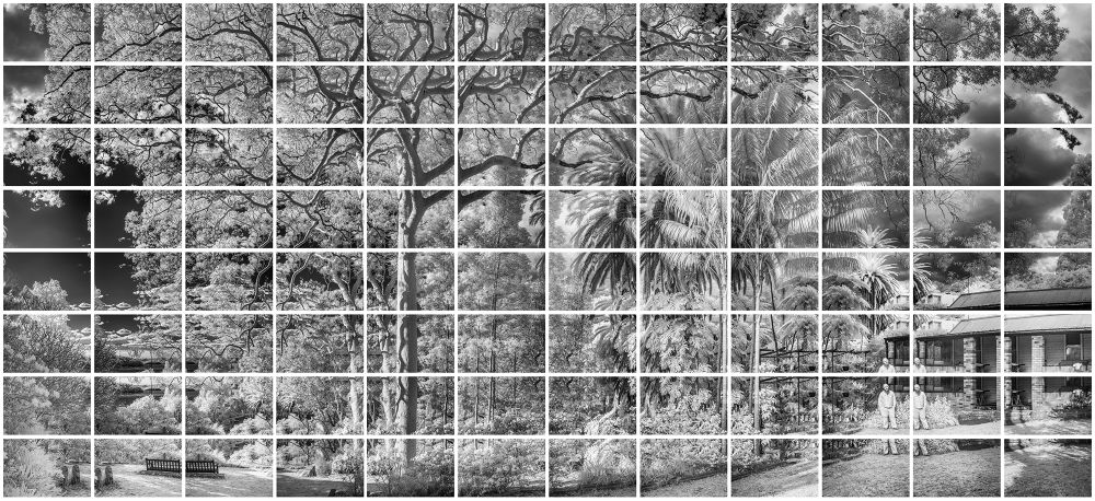 116 Years - LensCulture