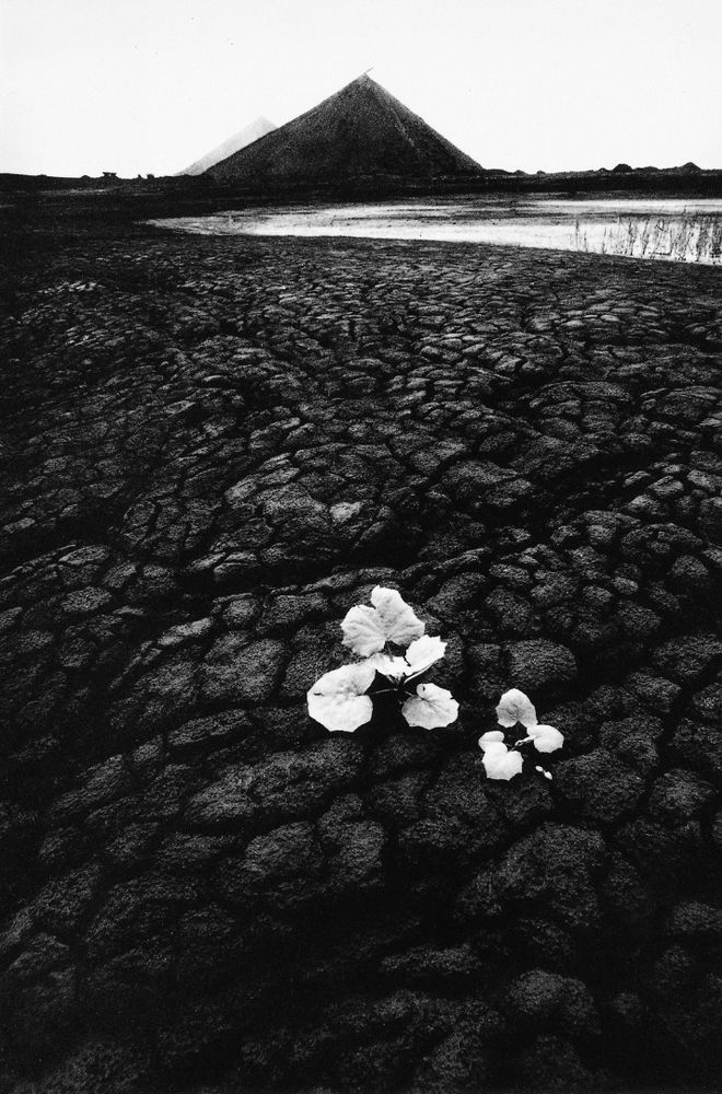 Michal Cala - Silesia 1975-2013 | LensCulture