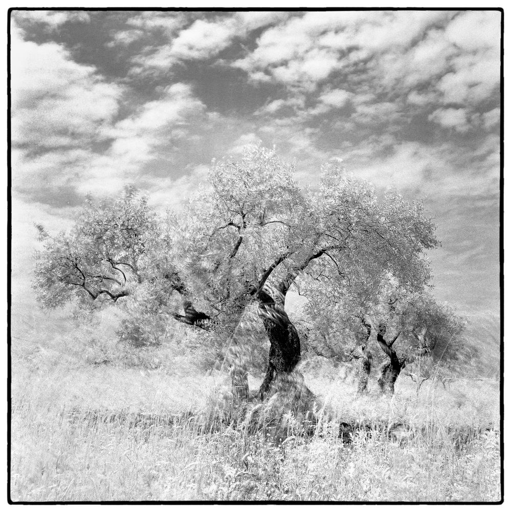 Artur Zdral - Invisible landscapes | LensCulture