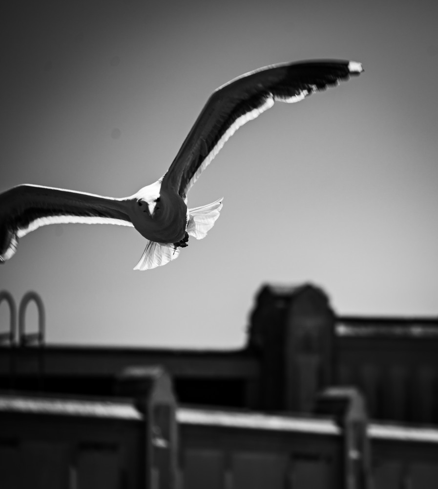 Qi Su - Untitled | LensCulture