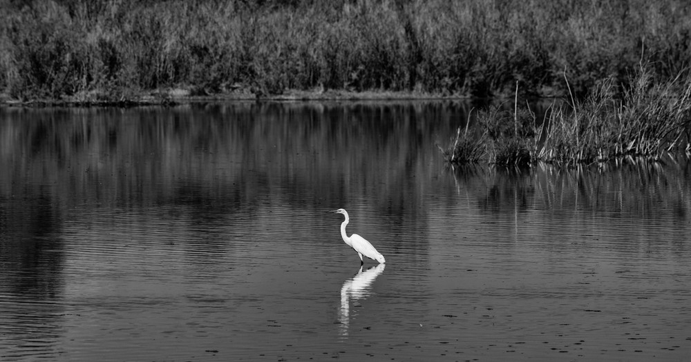 Lisa Streeter - Untitled | LensCulture