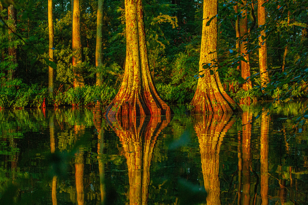 Kevin Larkin - Follow the Light | LensCulture