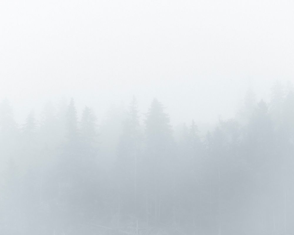 Paul Thulin-Jimenez - Pine Tree Ballads | LensCulture