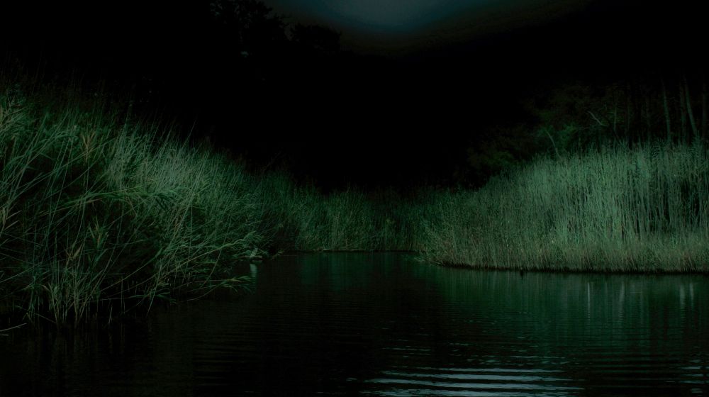 jacqueline roditi - Night Walk | LensCulture