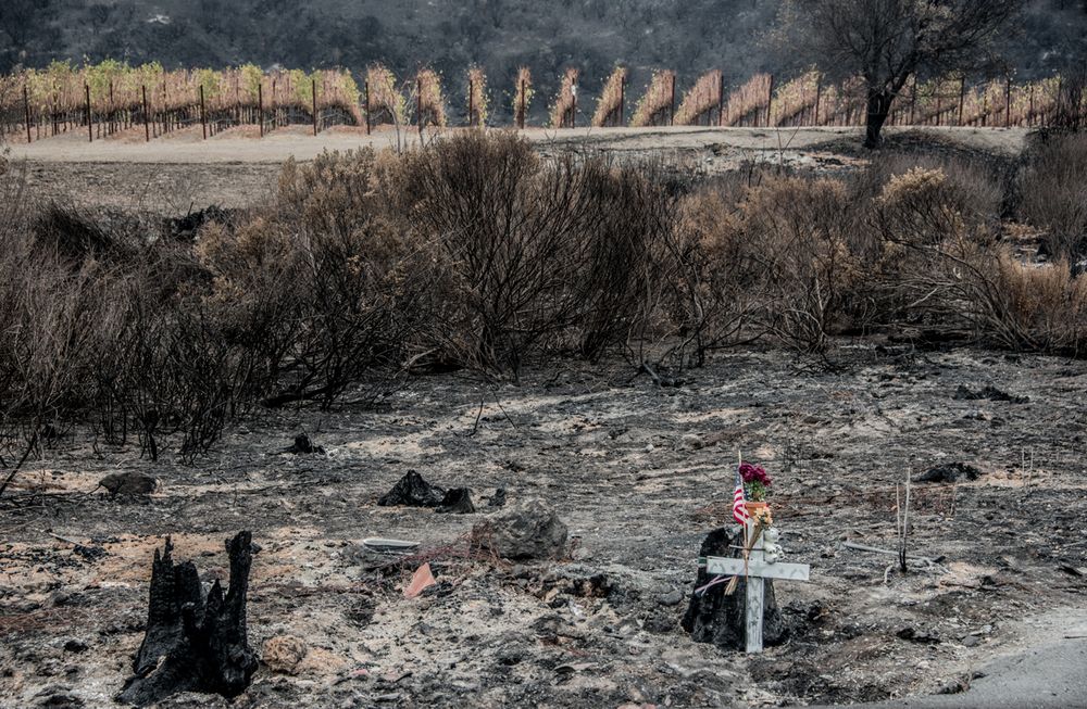 Ron Zak - Remnants: Sonoma | LensCulture