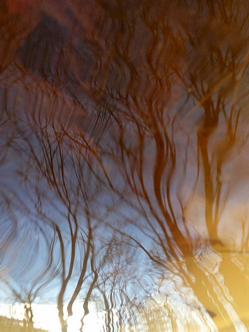 Steven Parisi - Gentile - Center for Photography at Woodstock Member ...