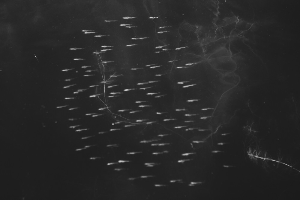 Jennifer Baron - Echoes of the Unseen | LensCulture