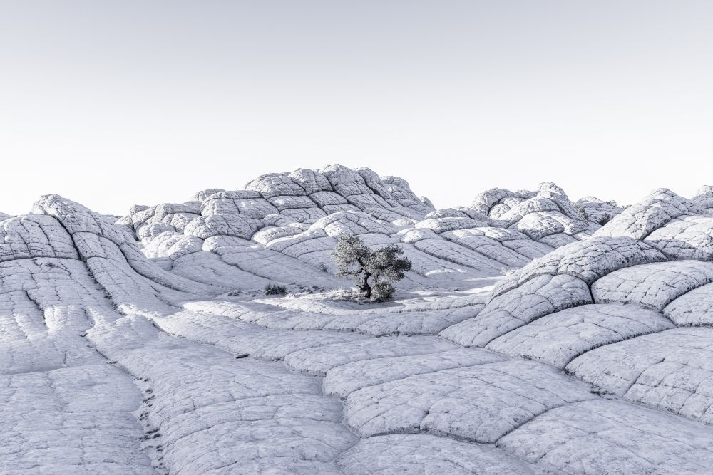 Tom Jacobi - Into The Light | LensCulture