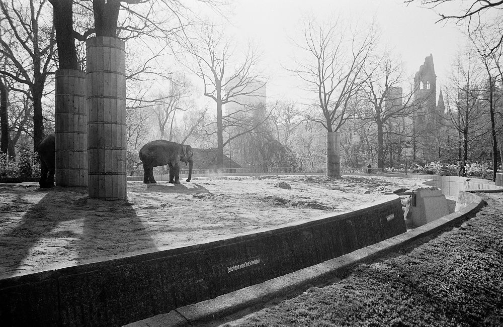 Lars Rebers - Photographer | LensCulture