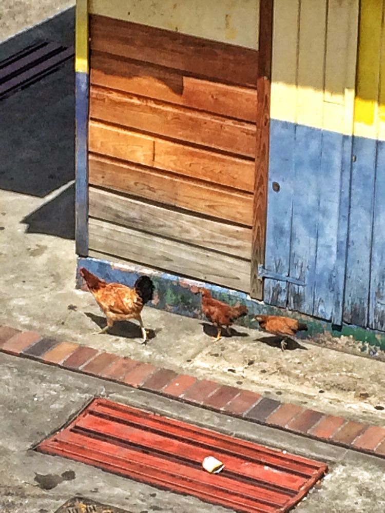 Limor Tevet - Random | LensCulture