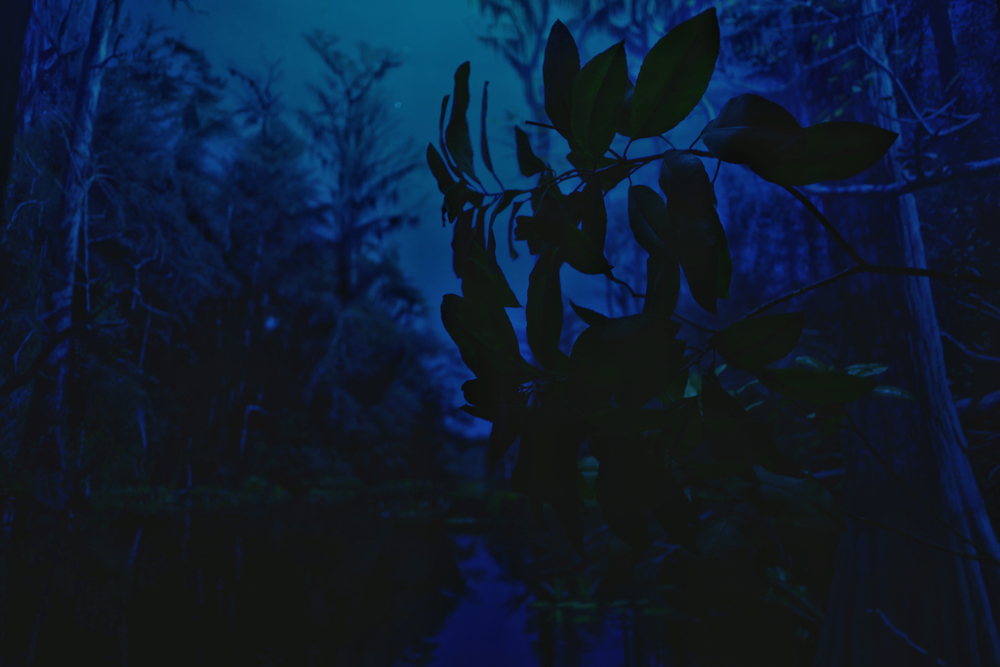 Ye Fan - Hé | LensCulture