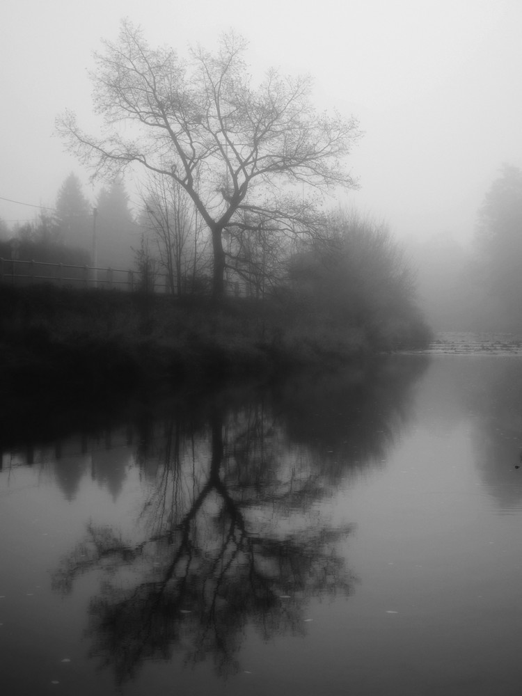 Moody Waters - LensCulture
