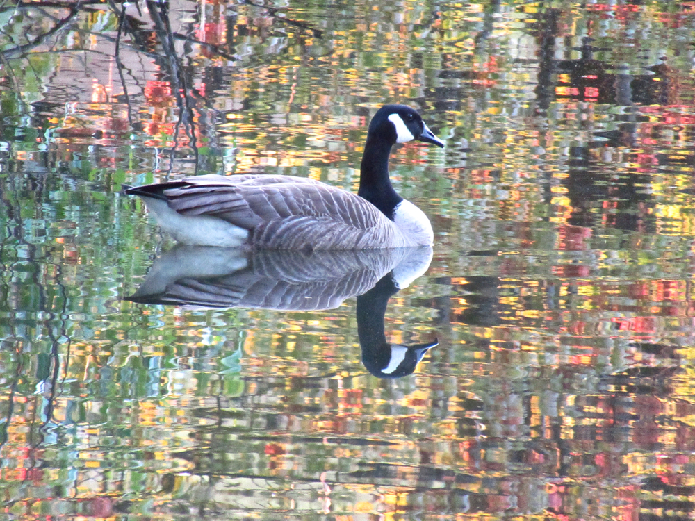 Keith Getter - Journeys | LensCulture
