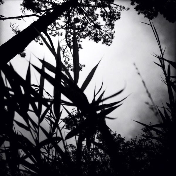 Rachael Short - From the Shadows | LensCulture