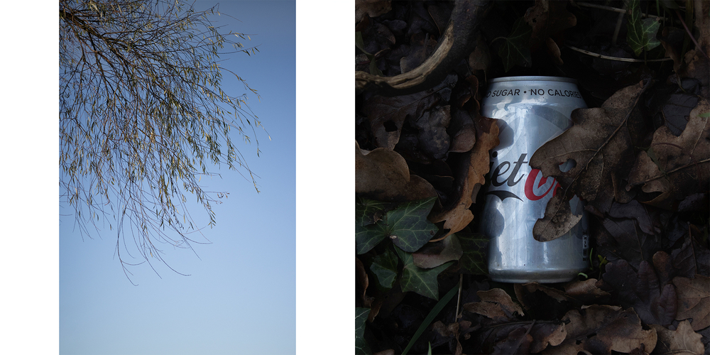 Jack Vine - Walking With Waste | LensCulture