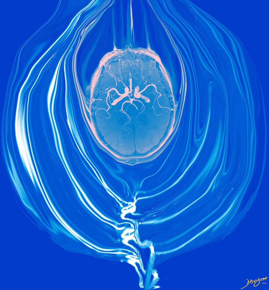 Ashley Davidoff - Art of Anatomy | LensCulture