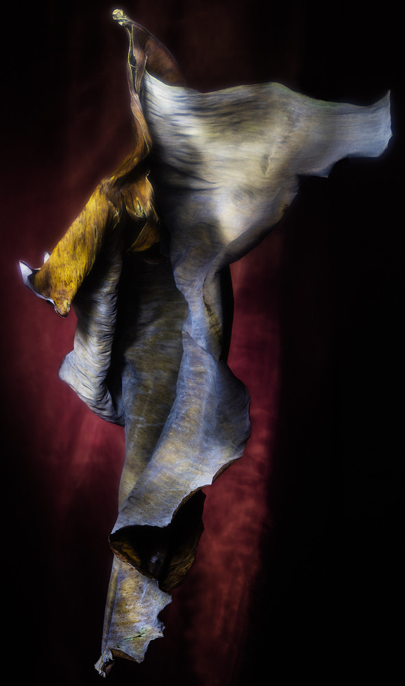 Peter Iverson - Series 8 | LensCulture