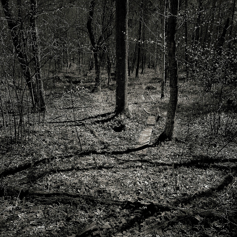 Sally Bowker - Invocation | LensCulture