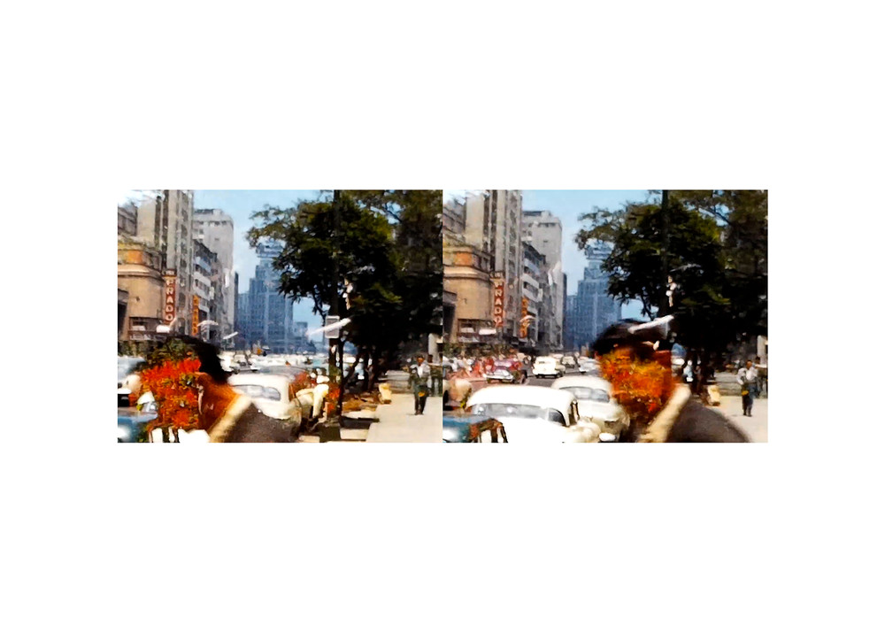 Kyle Kujawski - Esther and Howard Present: Chromalife | LensCulture