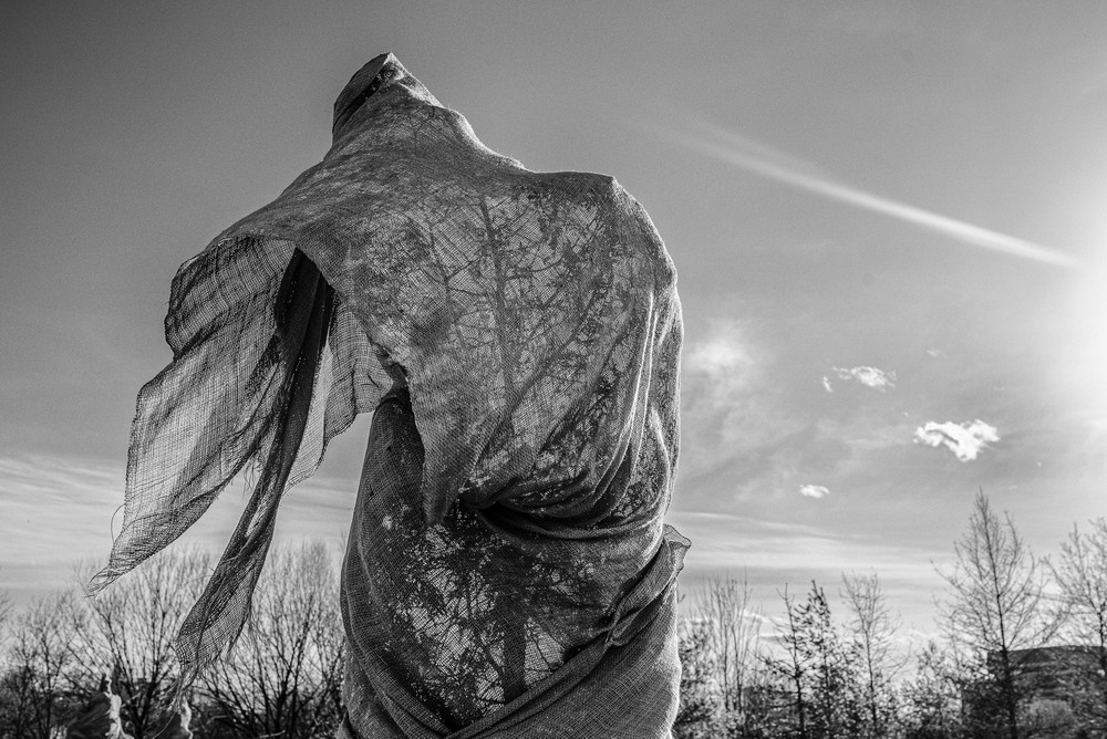 Chantal Fortier - Wandering Trees | LensCulture