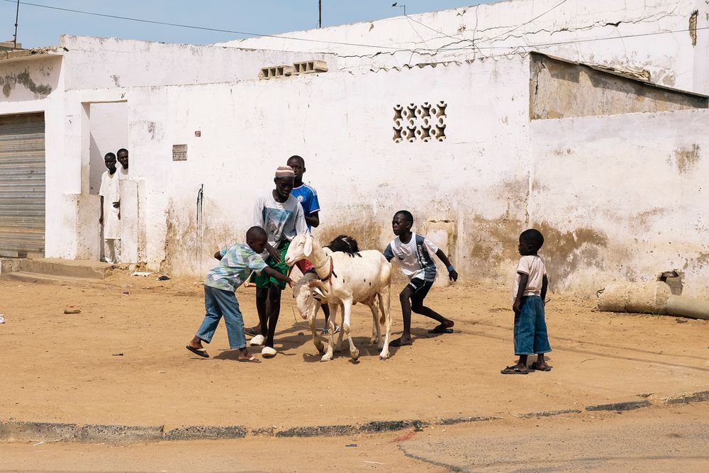 Adrian Morris - Scenes from Dakar | LensCulture