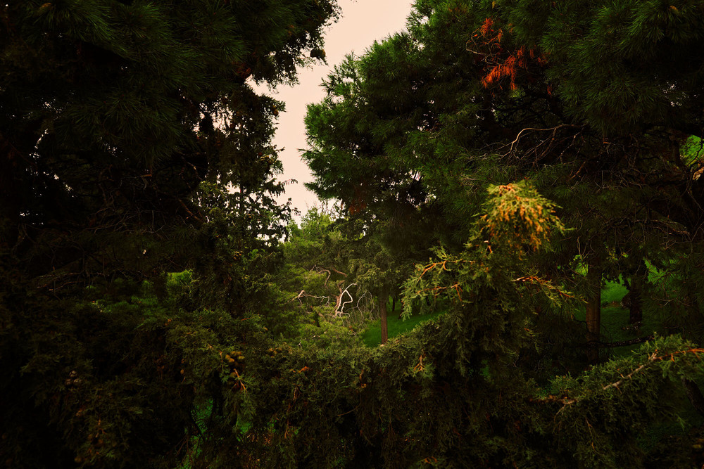Stephanie O'Connor - Pivot notes | LensCulture