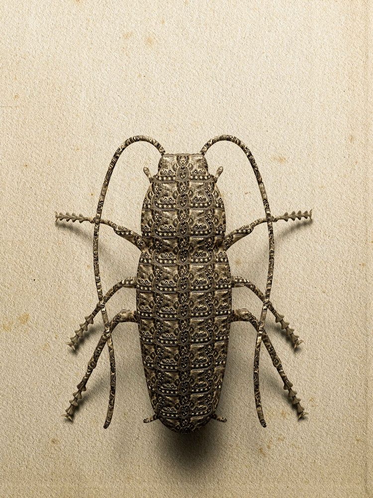 Joost Bolten - Capital Insects | LensCulture