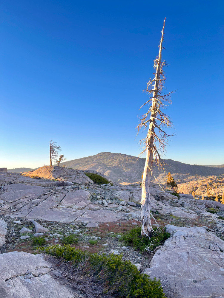 Mike Butterfield - NEW IMAGES | LensCulture