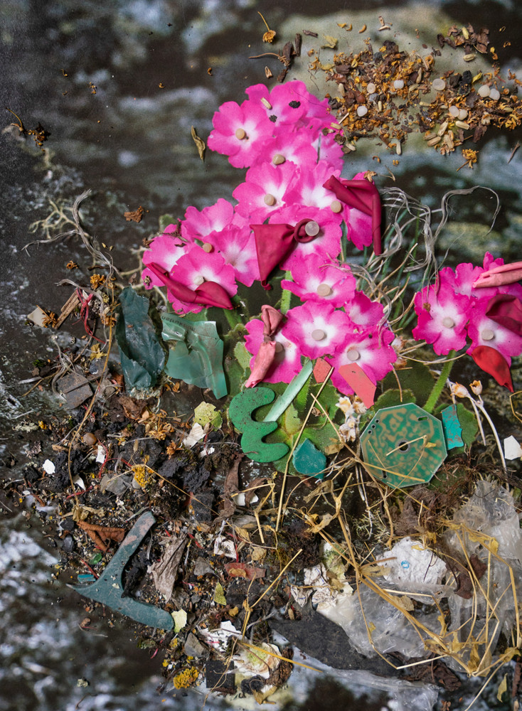 Amalgamated Fragmentations / Plastiverse - LensCulture