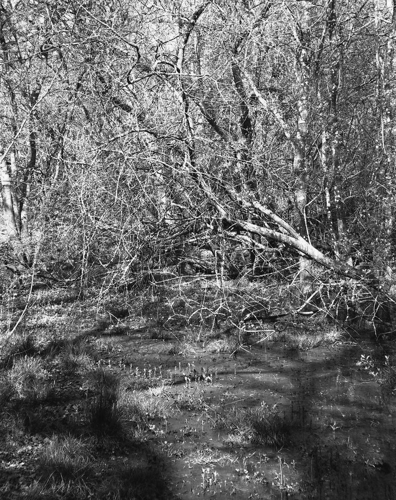 jonty sale - squallsmire | LensCulture