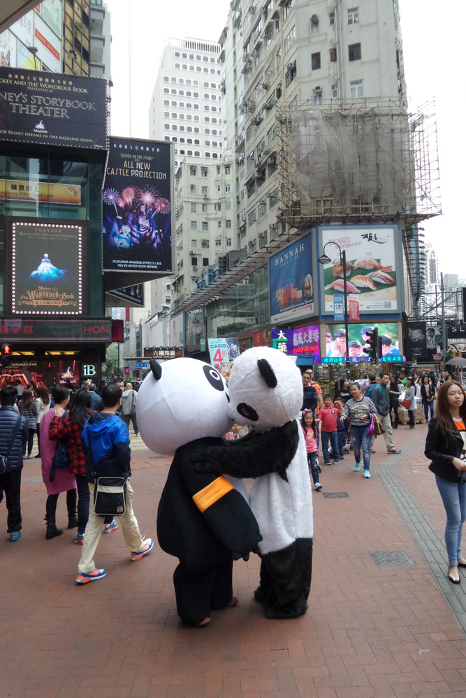 Shing Hon Chow - Untitled | LensCulture