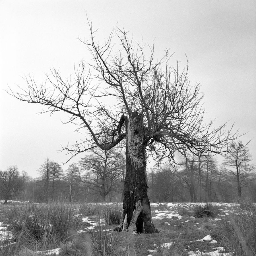 Stefan Neagu - Lost Souls | LensCulture