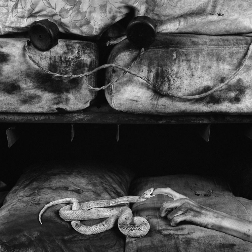 Roger Ballen: Emerging Photographer at Age 50, Now a Global Star ...