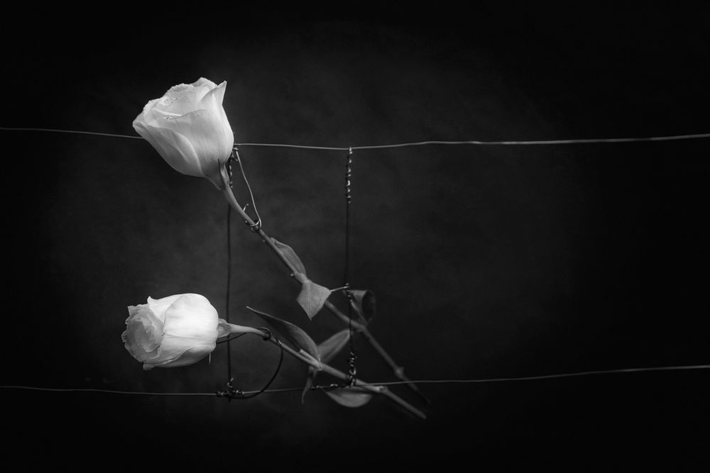 Yuichi Ikehata - An Observer’s Report 1 | LensCulture