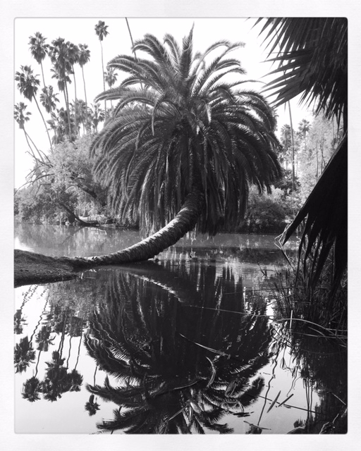 Lisa Rhoden Boyd - The Great Divide | LensCulture