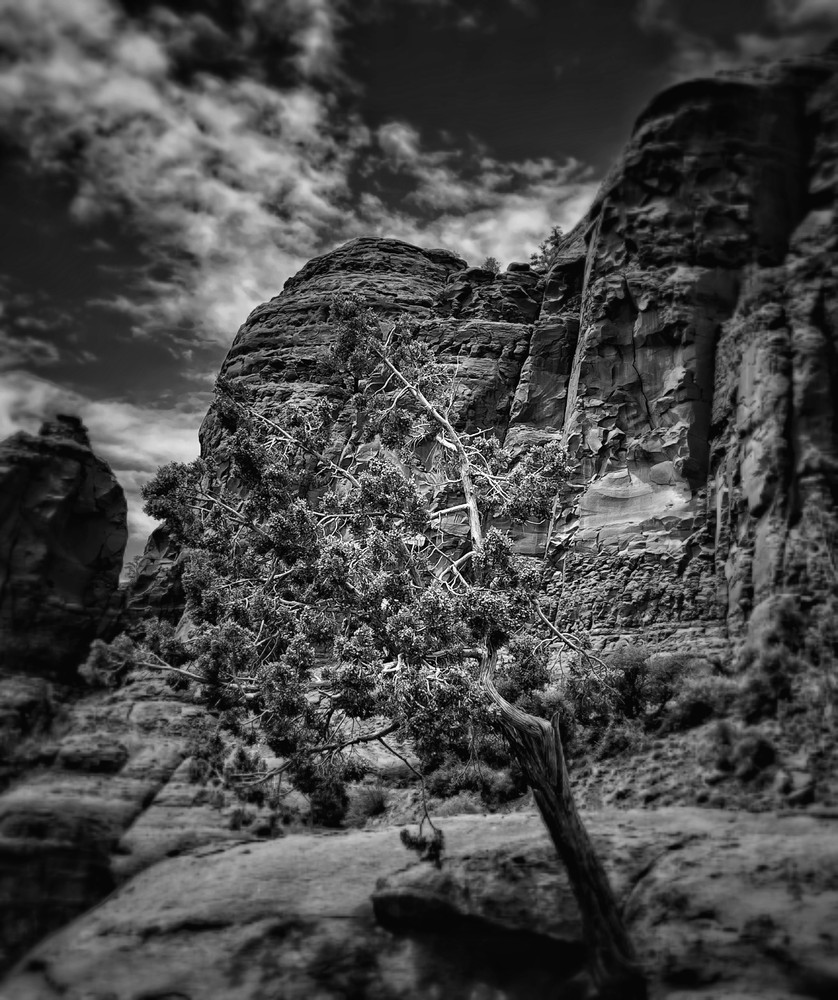 Michael Chacon - Red Rock | LensCulture