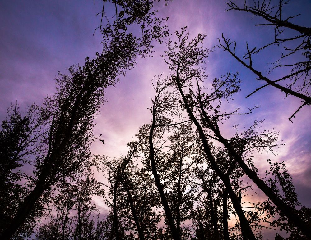 Jordan Bélanger - Submission | LensCulture