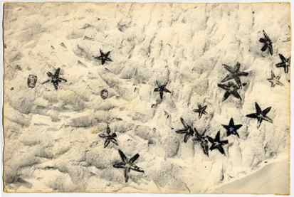 Masao Yamamoto - Visual Haiku | LensCulture