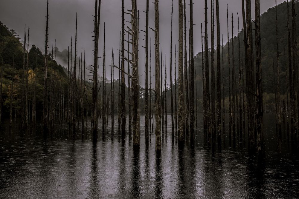 Hidenobu Suzuki - Ontake Pond: Location That Was Born In The Earthquake ...