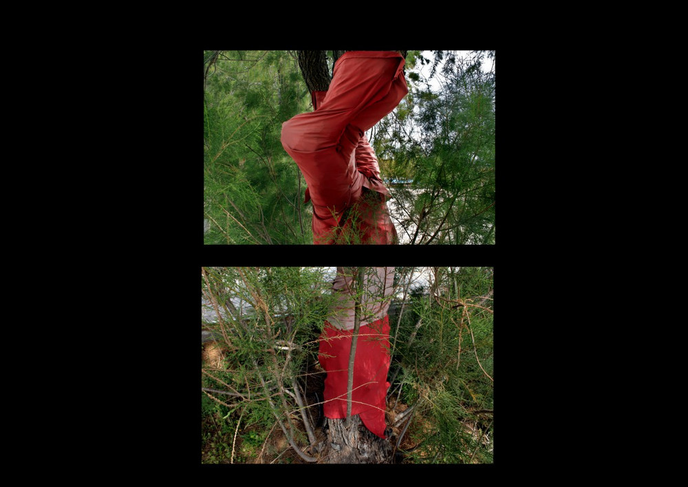 Maro Ellinitaki - HEALING TREE | LensCulture