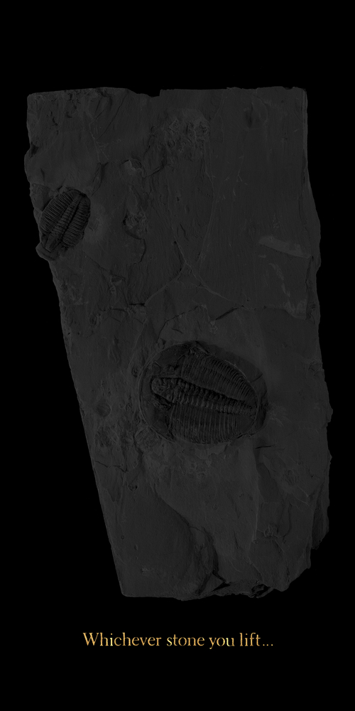 Simon Glass - Celan | LensCulture